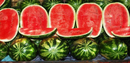 Watermelon Prober for PC - How to Install on Windows PC, Mac