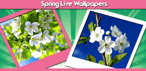 Spring Live Wallpapers APK Download For Free
