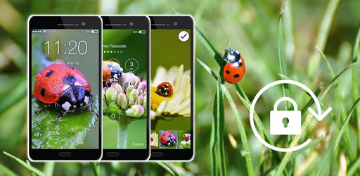 Cute Ladybug Screen Lock for PC - How to Install on Windows PC, Mac