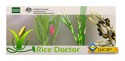Rice Doctor Tagalog for PC - How to Install on Windows PC, Mac