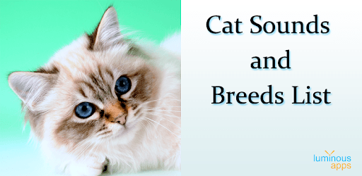 Cat Sounds and Breeds List for PC - How to Install on Windows PC, Mac