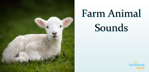 Farm Animal Sounds APK Download For Free