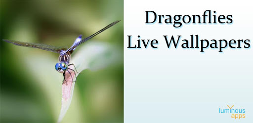 Dragonflies Live Wallpaper for PC - How to Install on Windows PC, Mac