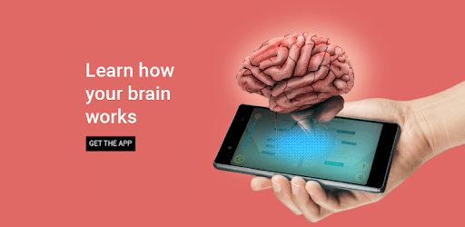 Human Brain - Augmented Reality for PC - How to Install on Windows PC, Mac