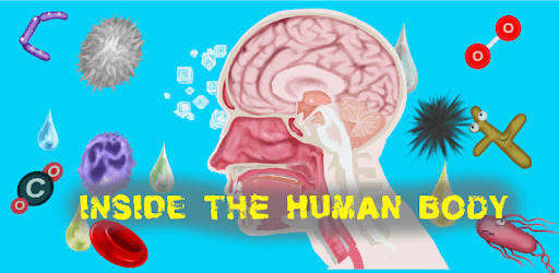Inside The Human Body by Making Sense Games for PC - How to Install on ...