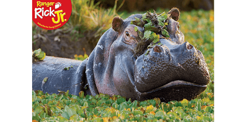 Ranger Rick Jr for PC - How to Install on Windows PC, Mac