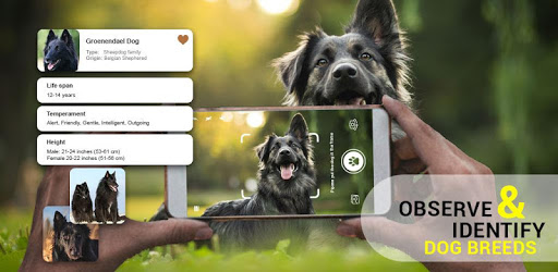 Dog Breed identifier, Scanner by Photo Camera 2019 for PC - How to ...
