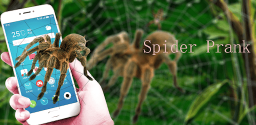Spider screen Prank for PC - How to Install on Windows PC, Mac