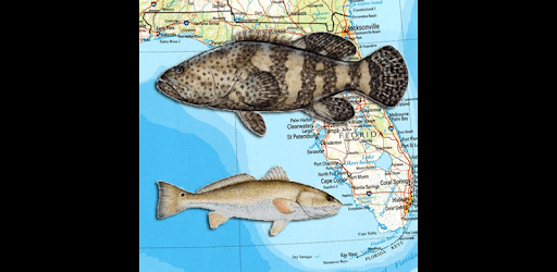 Texas Fishing Reef Maps for PC - How to Install on Windows PC, Mac
