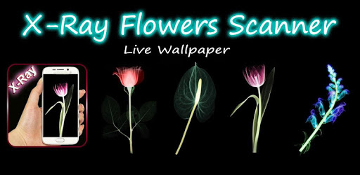X-Ray Flowers Scanner LWP for PC - How to Install on Windows PC, Mac