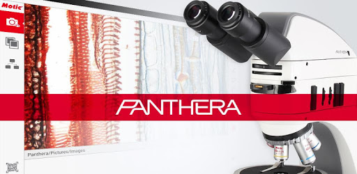 Panthera for PC - How to Install on Windows PC, Mac
