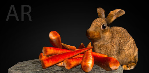Bunny AR for PC - How to Install on Windows PC, Mac