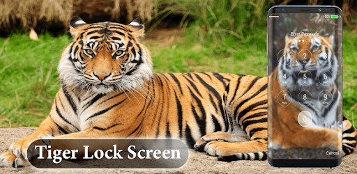 Tiger Lock Screen for PC - How to Install on Windows PC, Mac