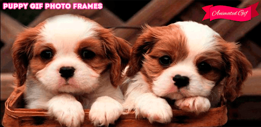 Puppy Dog GIF Photo Frames for PC - How to Install on Windows PC, Mac