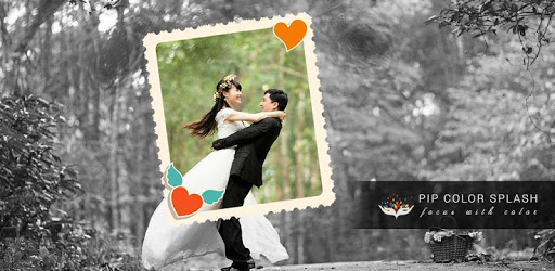 PIP Color Splash for PC - How to Install on Windows PC, Mac