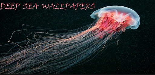 Deep Sea Wallpapers for PC - How to Install on Windows PC, Mac