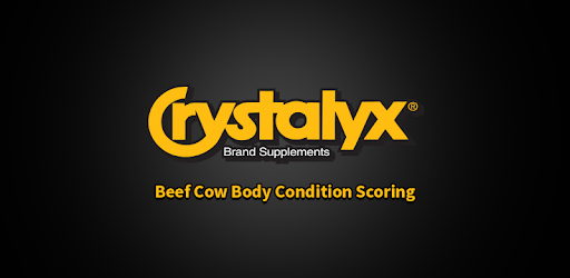 Beef Cow BCS for PC - How to Install on Windows PC, Mac