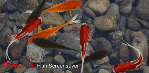 Beautiful Fish Screensaver Fre for PC - How to Install on Windows PC, Mac