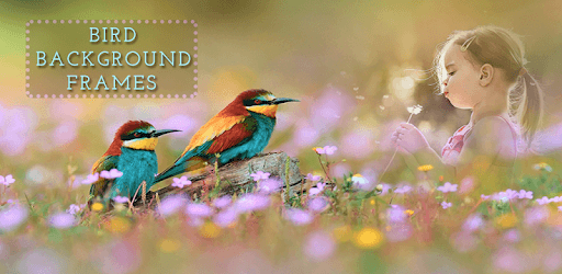 Bird Background Photo Frames for PC - How to Install on Windows PC, Mac