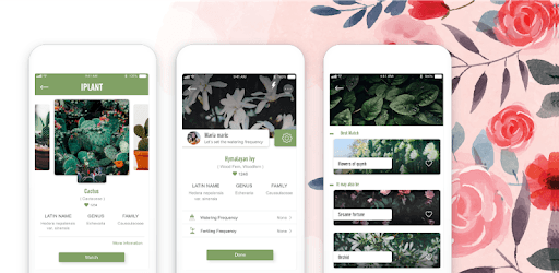 PlantFinder - Flower & Plant Identification for PC - How to Install on ...