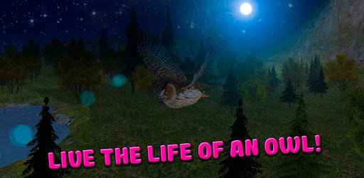 Owl Bird Survival Simulator 3D for PC - How to Install on Windows PC, Mac