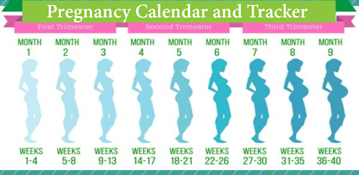 Pregnancy Calendar and Tracker for PC - How to Install on Windows PC, Mac