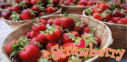 Strawberry Shortcake for PC - How to Install on Windows PC, Mac