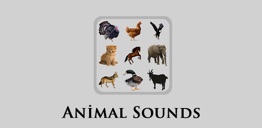 Animal Sounds APK Download For Free