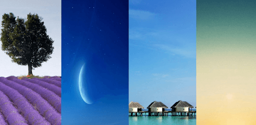 Background Wallpaper for PC - How to Install on Windows PC, Mac