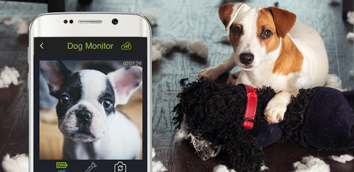 Dog Monitor for PC - How to Install on Windows PC, Mac