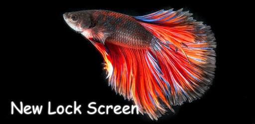 Fish Lock Screen for PC - How to Install on Windows PC, Mac
