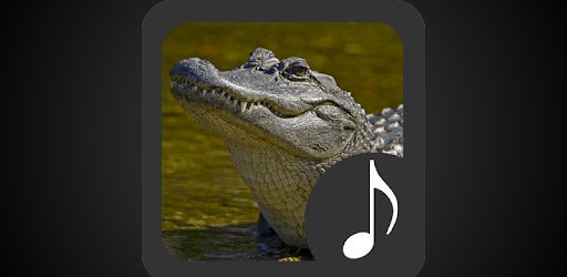 Alligator Sounds APK Download For Free