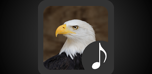 Bald Eagle Sounds for PC - How to Install on Windows PC, Mac