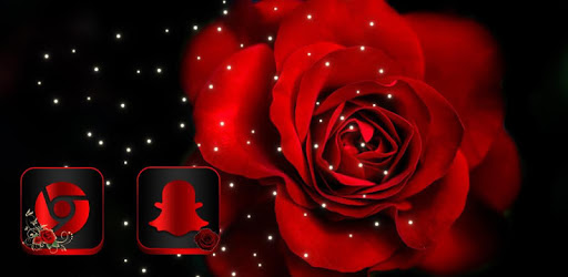 Romantic Red Rose Theme for PC - How to Install on Windows PC, Mac
