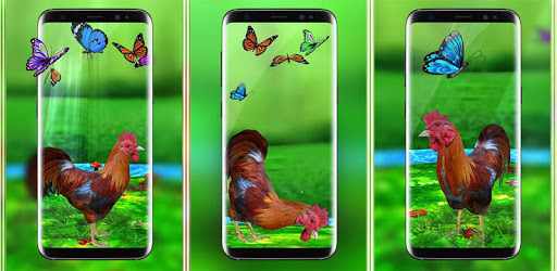 Rooster Escape Live Wallpaper : Birds Backgrounds for PC - How to ...