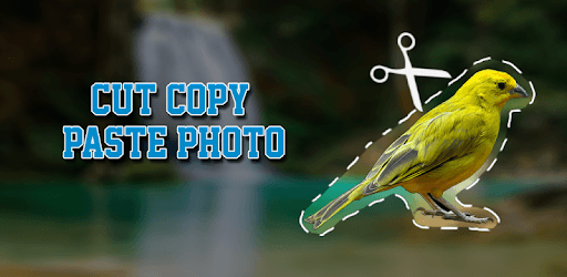 Cut Copy Paste Photo for PC - How to Install on Windows PC, Mac