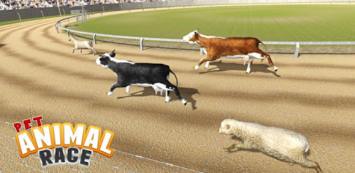Pet Animals Race for PC - How to Install on Windows PC, Mac