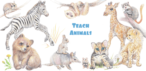 Teach Animals for PC - How to Install on Windows PC, Mac