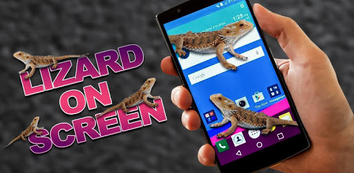 Lizard on phone screen funny joke for PC - How to Install on Windows PC ...