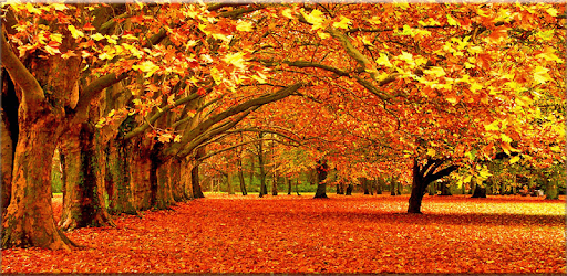 Autumn GIF for PC - How to Install on Windows PC, Mac