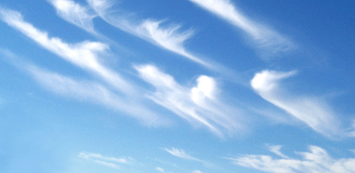 PharmaCODE for PC - How to Install on Windows PC, Mac