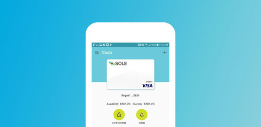 SOLE Payroll Card for PC - How to Install on Windows PC, Mac