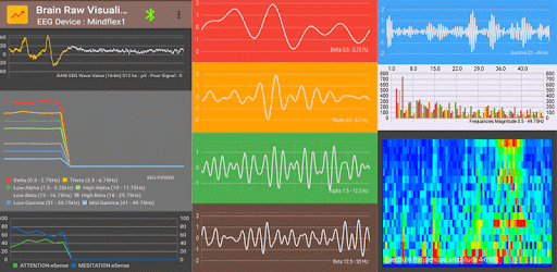 Brain Raw Visualizer Demo For Pc How To Install On Windows Pc Mac