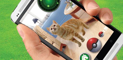 Pocket Kitten Cats GO APK Download For Free