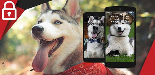 Funny Joke Husky Lock Screen for PC - How to Install on Windows PC, Mac