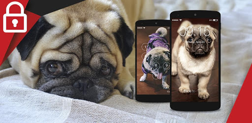 Sweet Pug Puppy Lock Screen for PC - How to Install on Windows PC, Mac