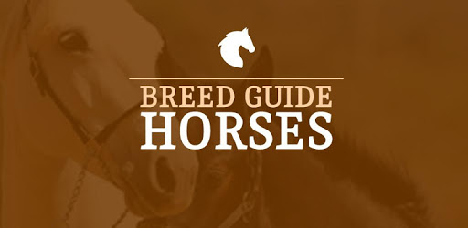 Breed Guide: Horses for PC - How to Install on Windows PC, Mac