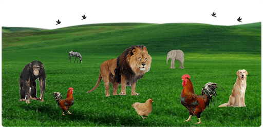 Animals Names for PC - How to Install on Windows PC, Mac