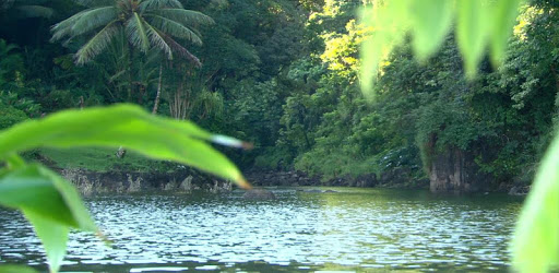 Lake drowning in greenery for PC - How to Install on Windows PC, Mac