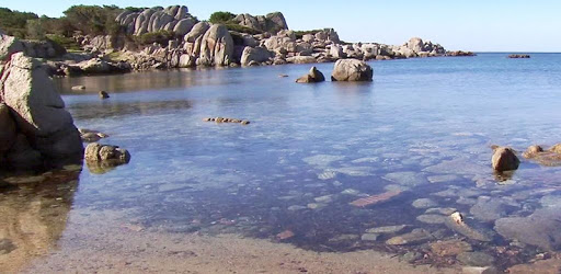 Transparent silense for PC - How to Install on Windows PC, Mac